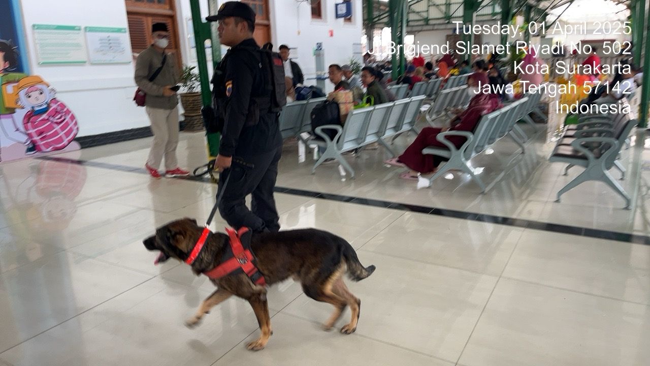 Surakarta Police Deploy K9 Unit Ahead of 2025 Eid Homecoming Flow ...